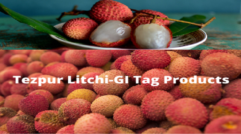 Tezpur Litchi (Litchi Chinensis) of Assam-GI (Geographical Indication ...